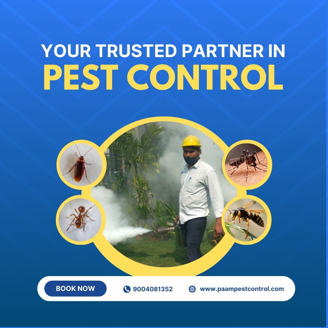 Pest Control Services in Mumbai, Navi Mumbai, Thane, And Mira Bhayandar - Paam Pest Control Services